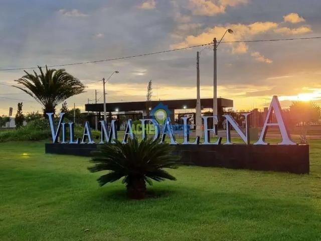 Terreno / Lote para Venda em Araçatuba/SP Aeroporto