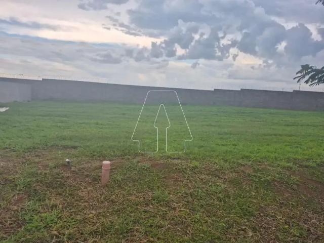 Terreno / Lote para Venda em Araçatuba/SP Aeroporto