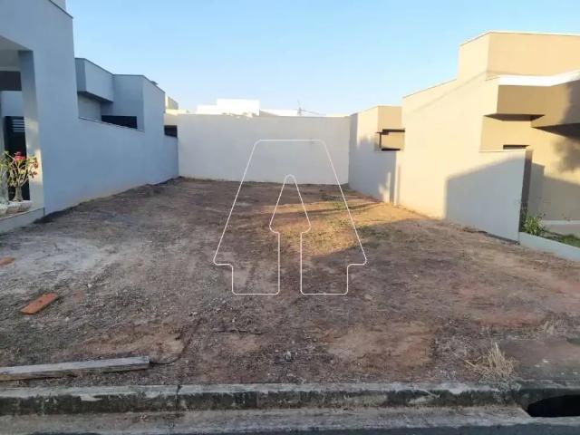 Terreno / Lote para Venda em Araçatuba/SP Aeroporto