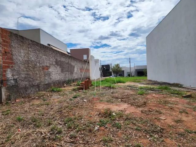 Terreno / Lote para Venda em Araçatuba/SP Aeroporto