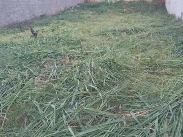 Terreno / Lote para Venda em Araçatuba/SP Alvorada