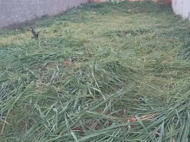 Terreno / Lote para Venda em Araçatuba/SP Alvorada