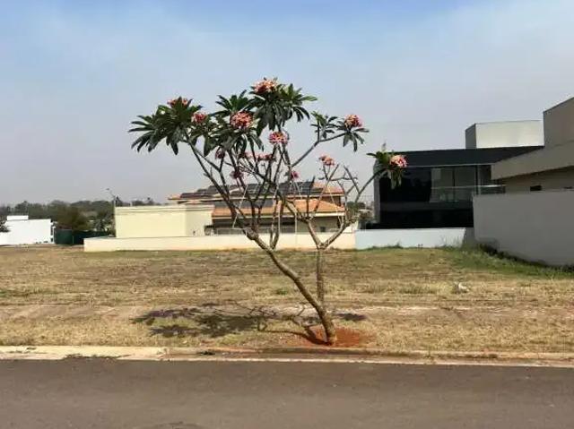 Terreno / Lote para Venda em Araçatuba/SP Alvorada