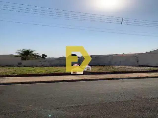 Terreno / Lote para Venda em Araçatuba/SP Centro