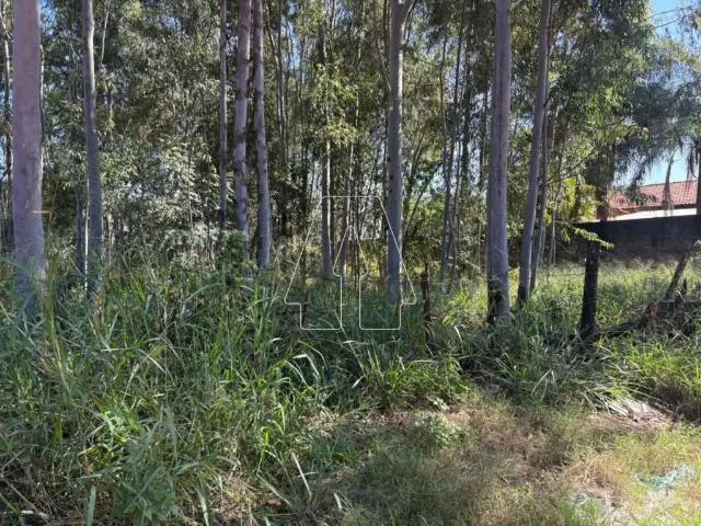 Terreno / Lote para Venda em Araçatuba/SP Chácaras Arco Íris
