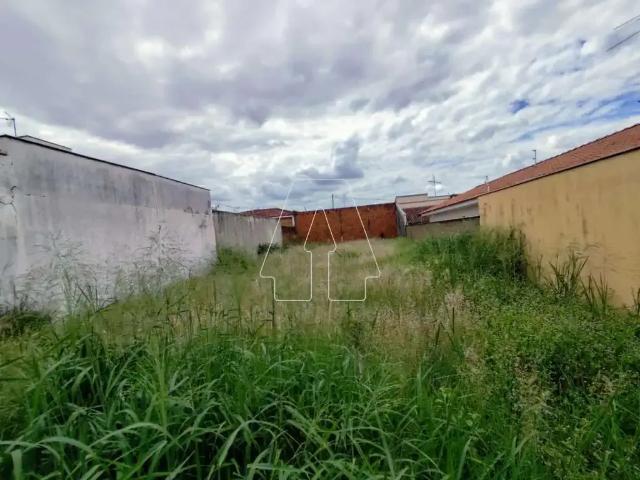 Terreno / Lote para Venda em Araçatuba/SP Concórdia I