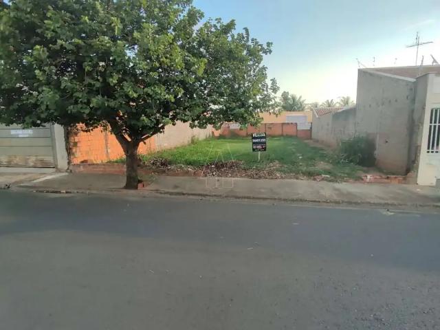 Terreno / Lote para Venda em Araçatuba/SP Concórdia II