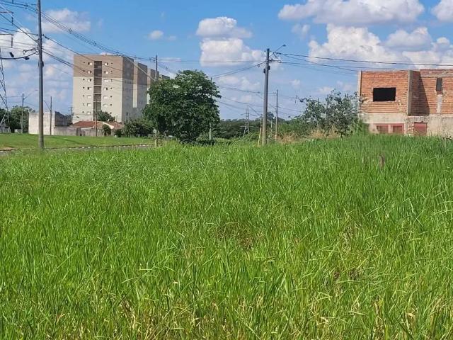 Terreno / Lote para Venda em Araçatuba/SP Concórdia IV