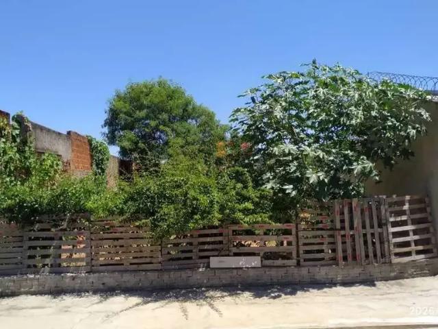 Terreno / Lote para Venda em Araçatuba/SP Conjunto Habitacional Castelo Branco