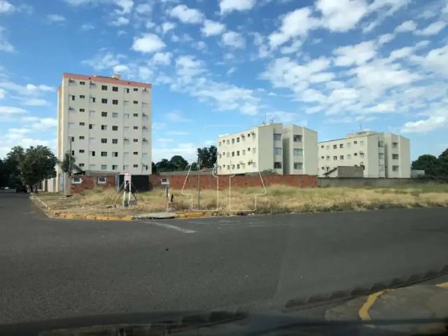 Terreno / Lote para Venda em Araçatuba/SP Conjunto Habitacional Castelo Branco