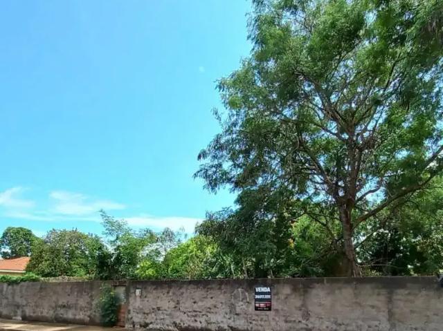 Terreno / Lote para Venda em Araçatuba/SP Dona Amélia