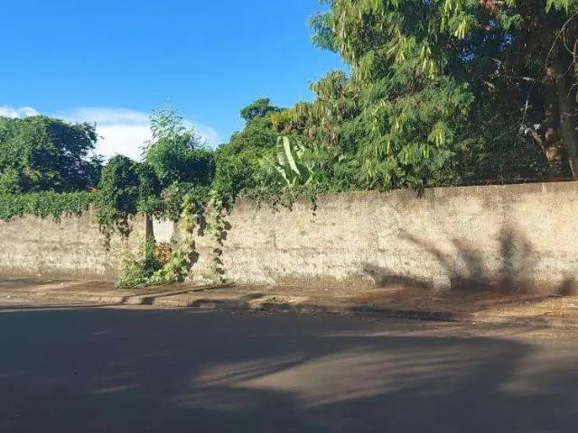 Terreno / Lote para Venda em Araçatuba/SP Dona Amélia