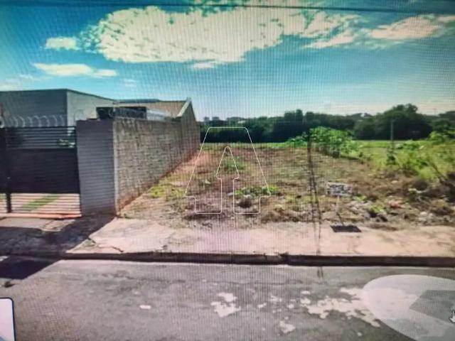 Terreno / Lote para Venda em Araçatuba/SP Esplanada