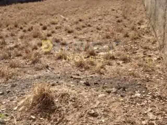 Terreno / Lote para Venda em Araçatuba/SP Ipanema
