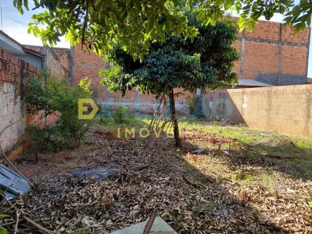 Terreno / Lote para Venda em Araçatuba/SP Ipanema