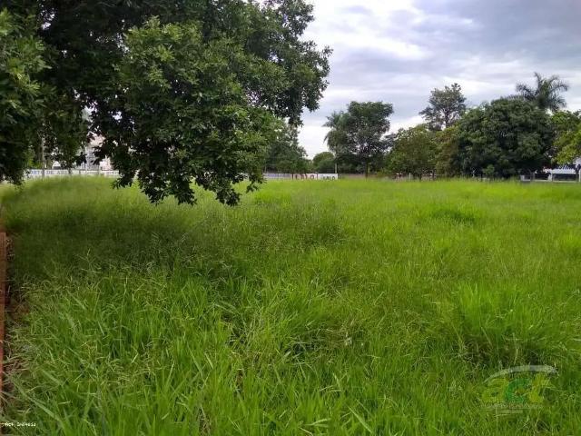 Terreno / Lote para Venda em Araçatuba/SP Ipanema