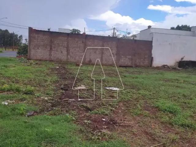 Terreno / Lote para Venda em Araçatuba/SP Jardim Moreira