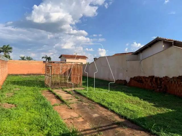 Terreno / Lote para Venda em Araçatuba/SP Jardim Nova Yorque