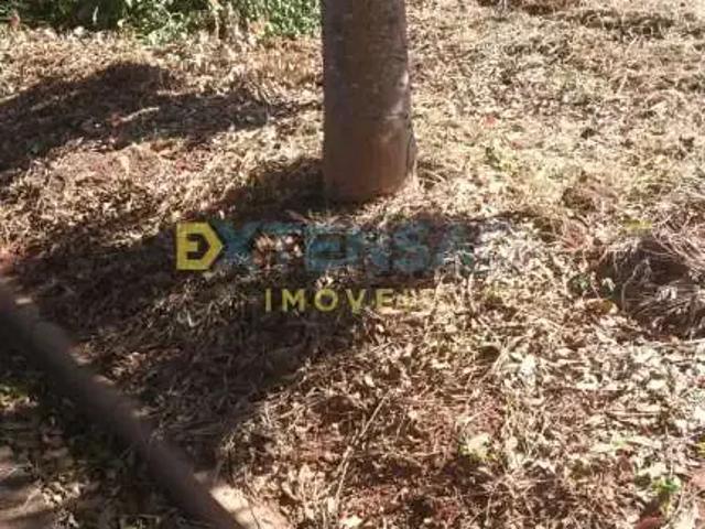 Terreno / Lote para Venda em Araçatuba/SP Jardim Nova Yorque