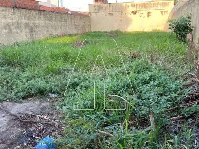 Terreno / Lote para Venda em Araçatuba/SP Jardim Nova Yorque