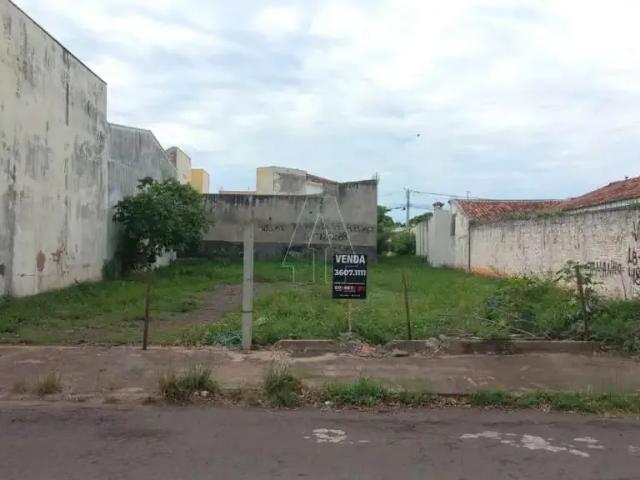 Terreno / Lote para Venda em Araçatuba/SP Parque Industrial