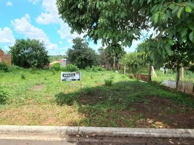Terreno / Lote para Venda em Araçatuba/SP Pinheiros