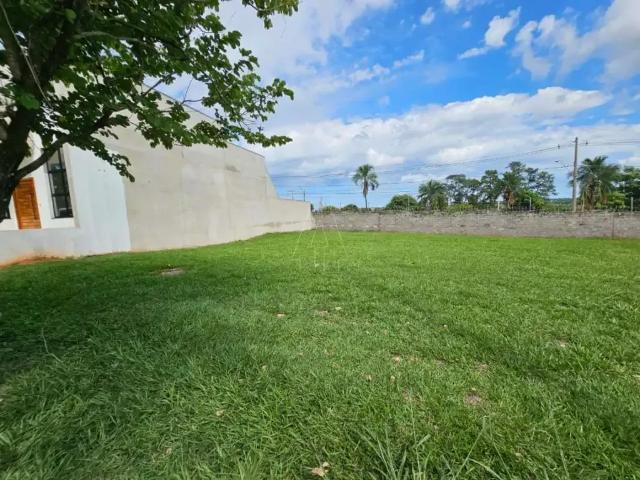 Terreno / Lote para Venda em Araçatuba/SP Pinheiros