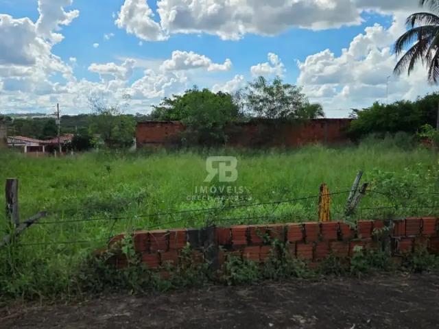 Terreno / Lote para Venda em Araçatuba/SP Pinheiros