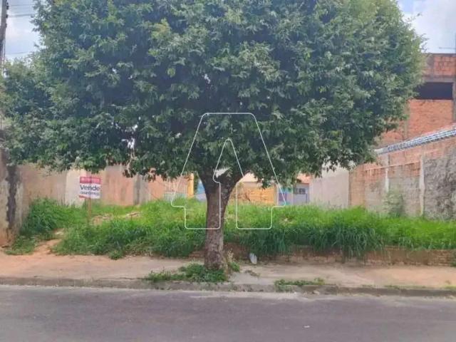 Terreno / Lote para Venda em Araçatuba/SP Planalto