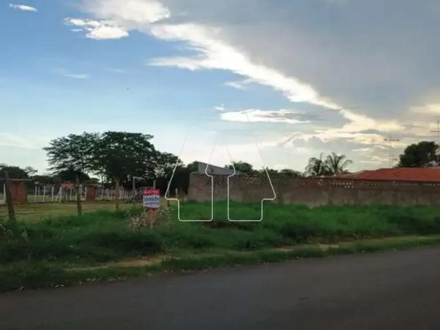 Terreno / Lote para Venda em Araçatuba/SP Presidente