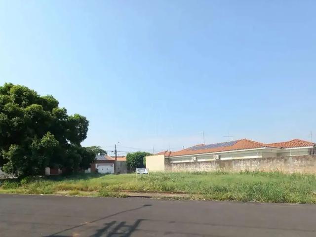 Terreno / Lote para Venda em Araçatuba/SP Presidente