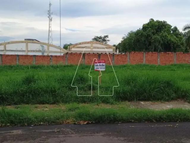 Terreno / Lote para Venda em Araçatuba/SP Presidente