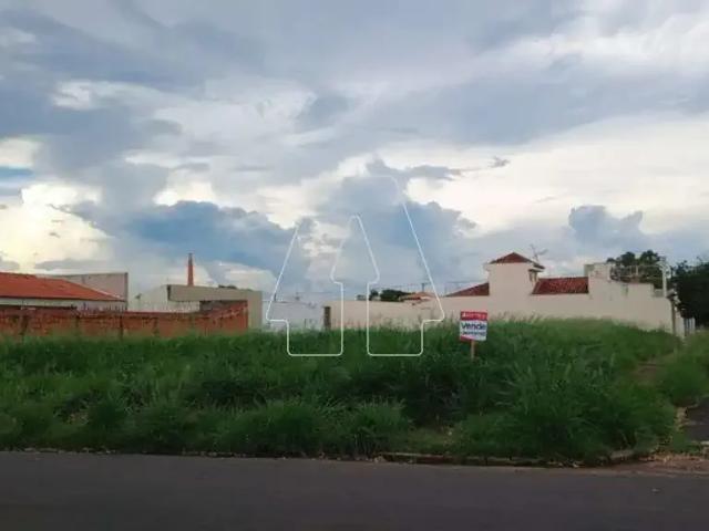 Terreno / Lote para Venda em Araçatuba/SP Presidente