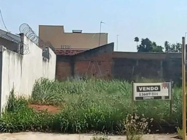 Terreno / Lote para Venda em Araçatuba/SP Presidente