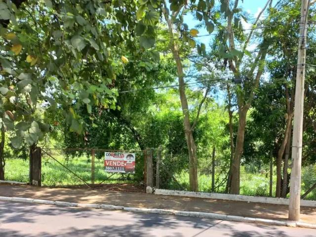 Terreno / Lote para Venda em Araçatuba/SP Santa Luzia