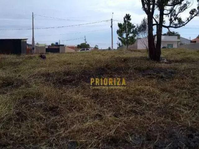 Terreno / Lote para Venda em Araçoiaba da Serra/SP Centro