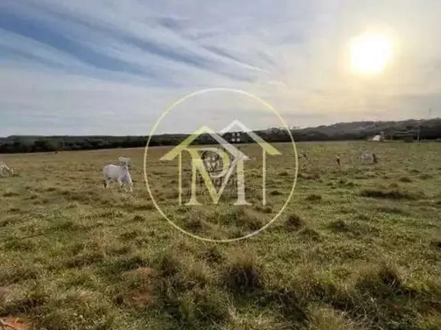 Terreno / Lote para Venda em Araçoiaba da Serra/SP Centro
