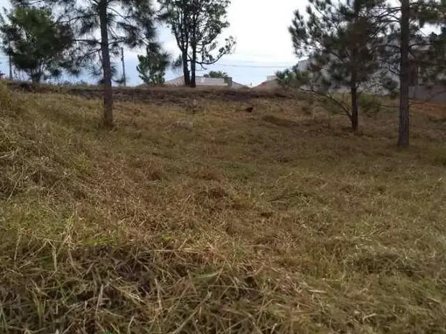 Terreno / Lote para Venda em Araçoiaba da Serra/SP Residencial Nova Canaã