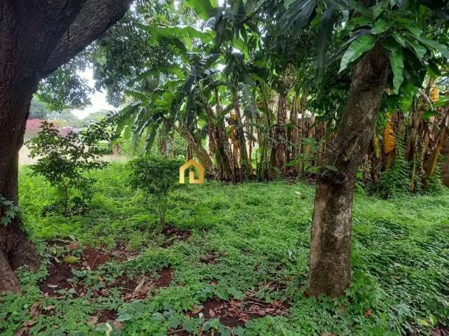 Terreno / Lote para Venda em Araçoiaba da Serra/SP Jardim Perlamar