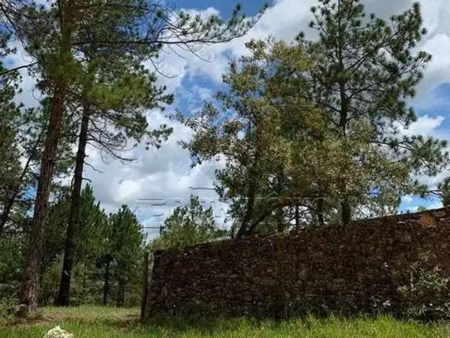 Terreno / Lote para Venda em Araçoiaba da Serra/SP Jundiacanga