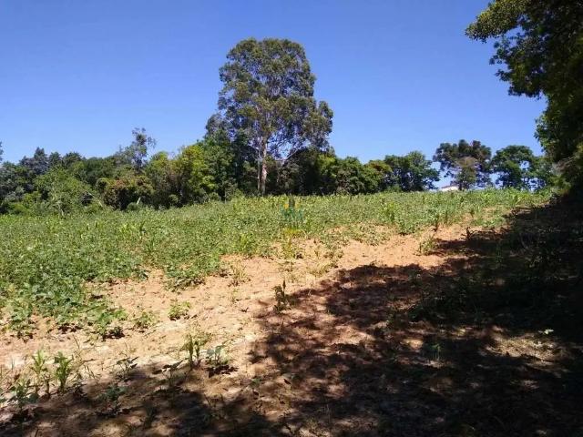 Terreno / Lote para Venda em Araçoiaba da Serra/SP Jundiaquara