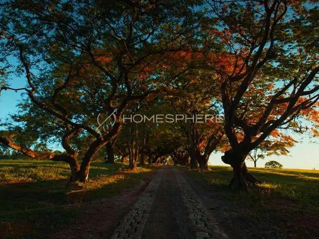 Terreno / Lote para Venda em Araçoiaba da Serra/SP Nova Araçoiaba