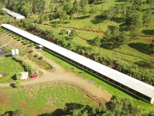 Terreno / Lote para Venda em Arabutã/SC Centro