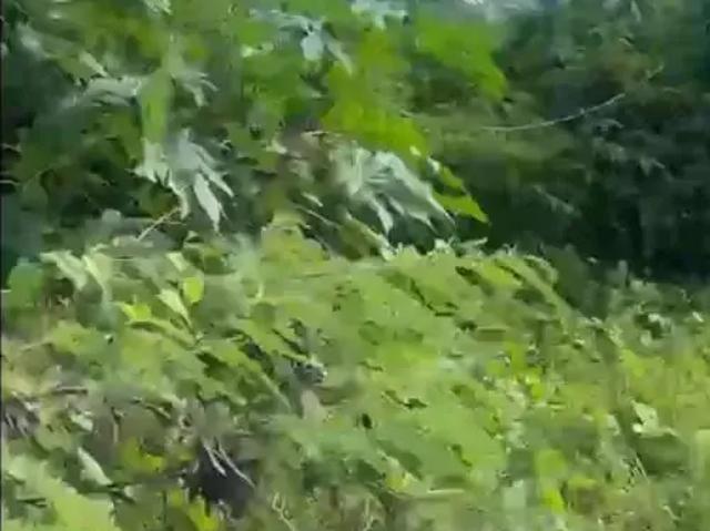 Terreno / Lote para Venda em Aracaju/SE Mosqueiro