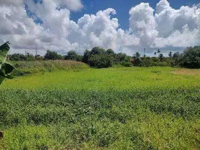 Terreno / Lote para Venda em Aracaju/SE Robalo