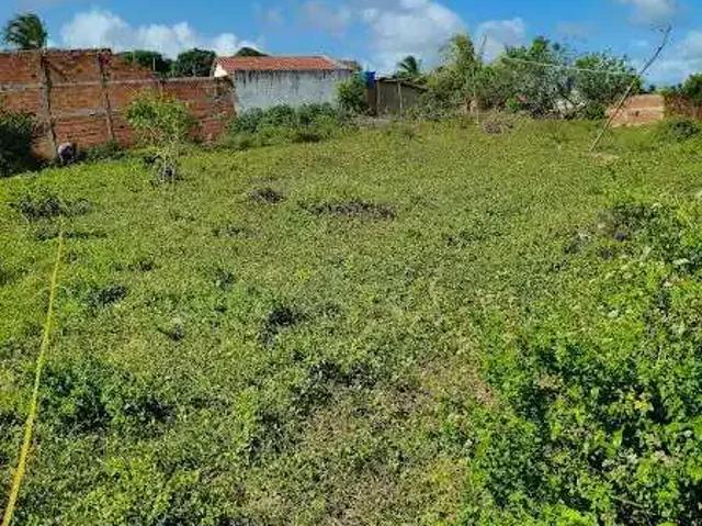 Terreno / Lote para Venda em Aracaju/SE Robalo