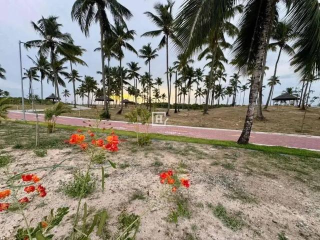 Terreno / Lote para Venda em Aracaju/SE Zona de Expansão Robalo