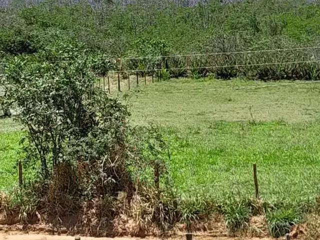 Terreno / Lote para Venda em Aracruz/ES Vila Santa Cruz