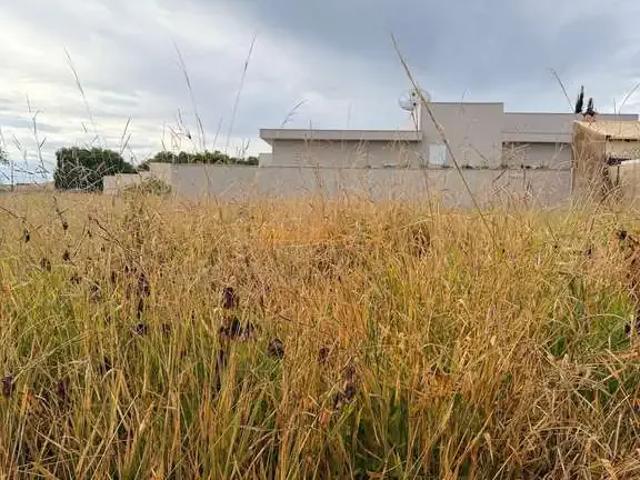 Terreno / Lote para Venda em Araguari/MG Aeroporto