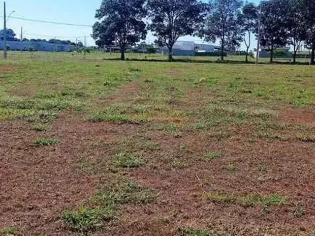 Terreno / Lote para Venda em Araguari/MG Área Rural de Araguari